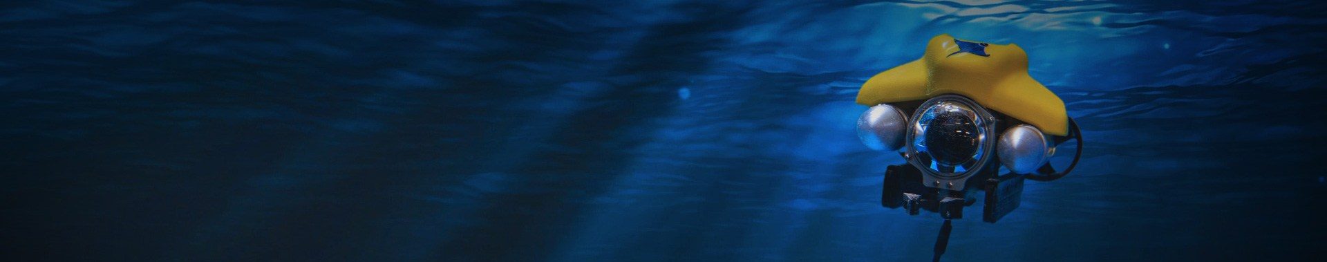 First underwater ROV hull inspection coducted by Dive Marine Services