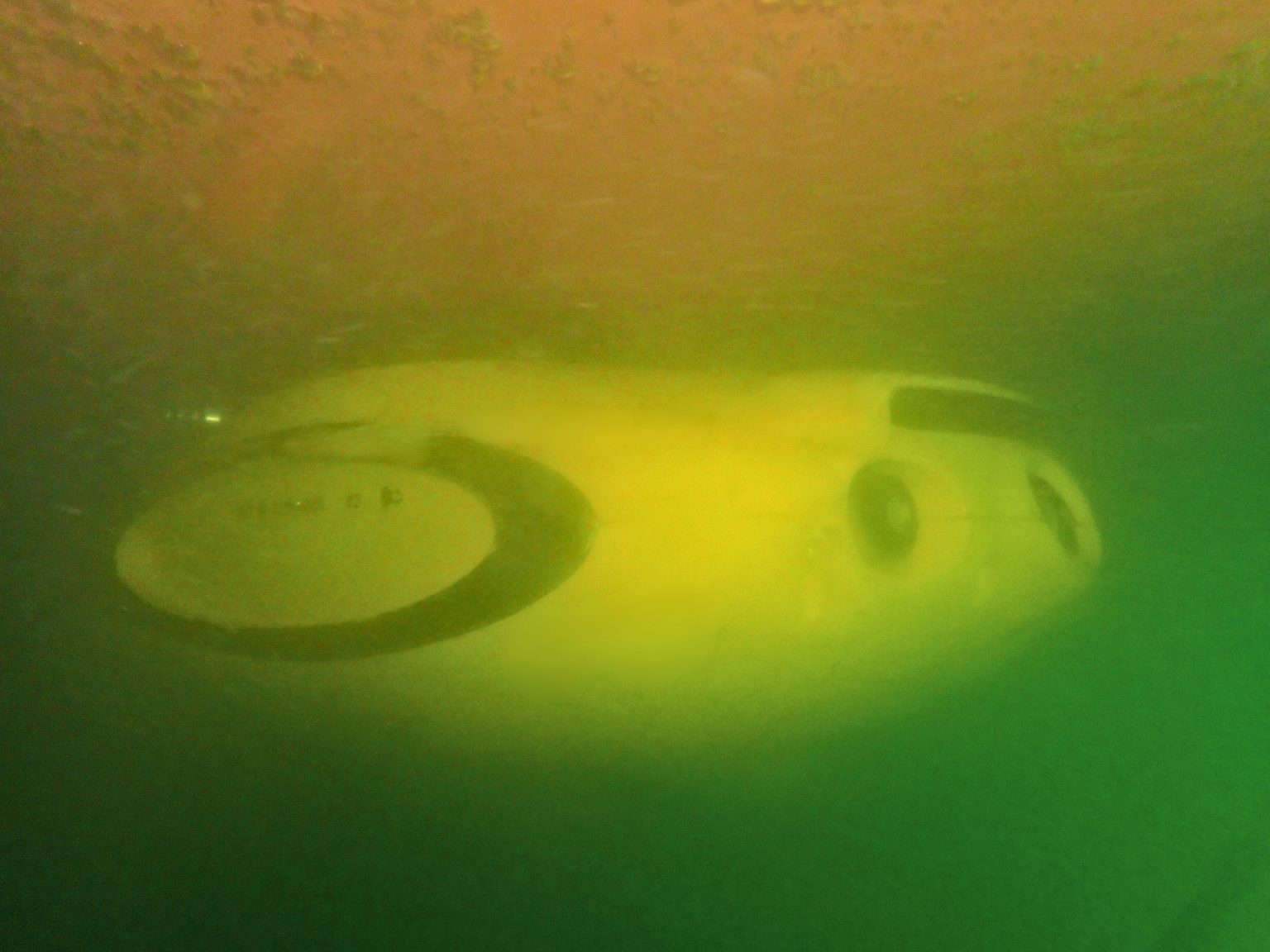 ROV Hull Cleaning in Singapore and South Korea